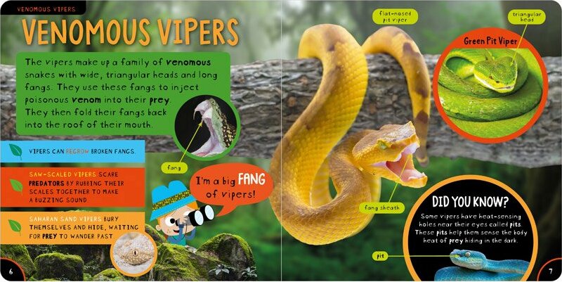Amazing Snakes – Learning Post & Toys