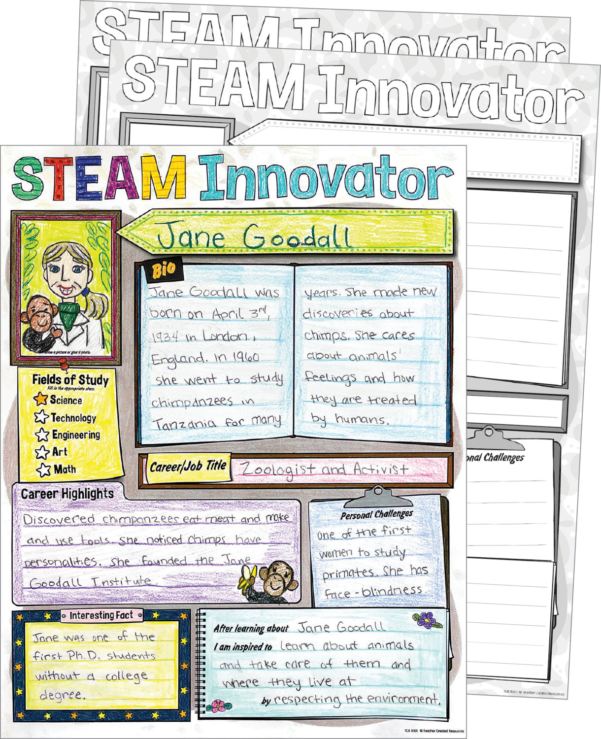 STEAM POSTER PACK - 8501 – Learning Post & Toys