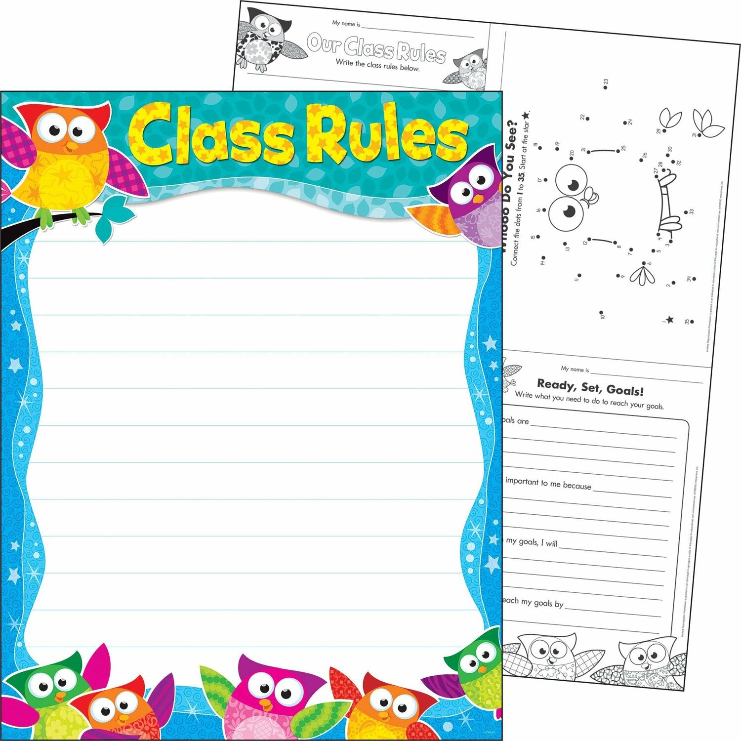 Class Rules Owl-stars! Learning Chart, 17" X 22" – Learning Post & Toys
