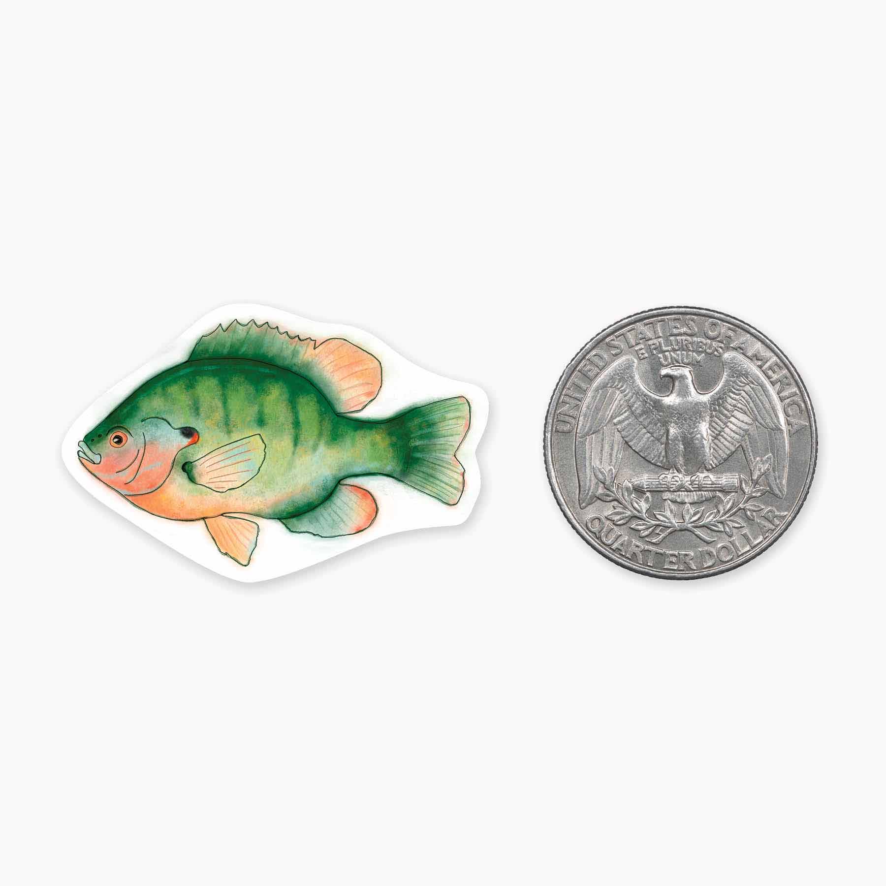 SUNFISH MINI STICKER – Learning Post & Toys