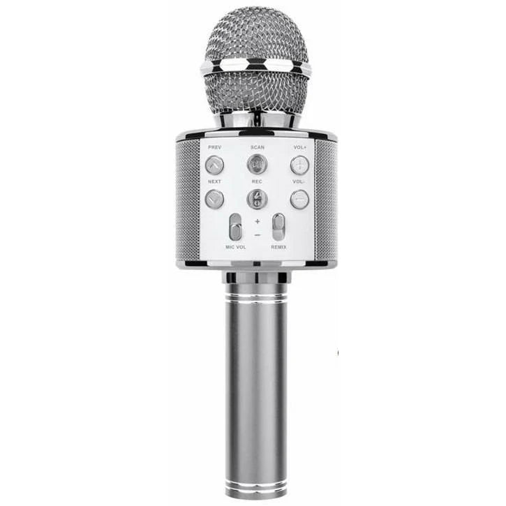 3 IN 1 KARAOKE MICROPHONE – Learning Post & Toys