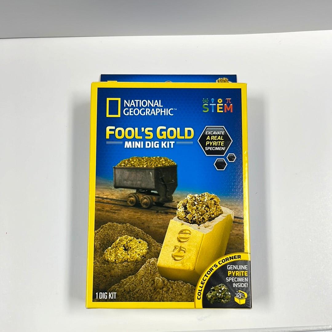 National Geographic Fool's Gold Mini Dig Kit – Learning Post & Toys
