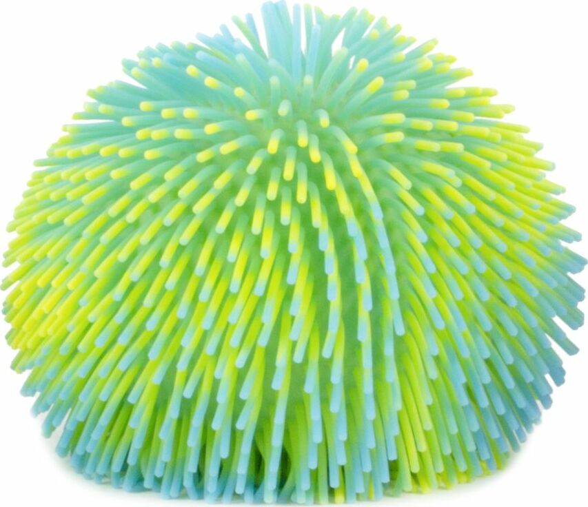 Giant Puffer Ball – Learning Post & Toys