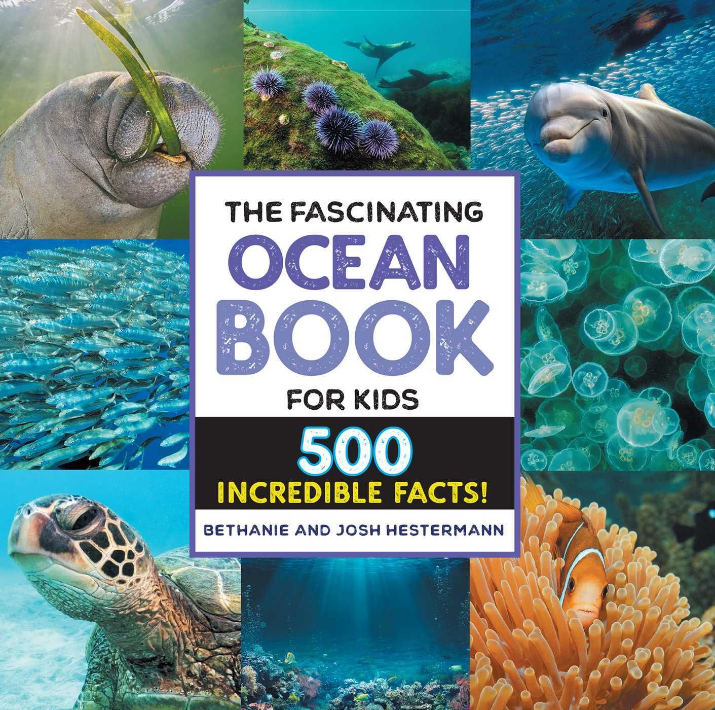 The Fascinating Ocean Book for Kids: 500 Incredible Facts! – Learning ...