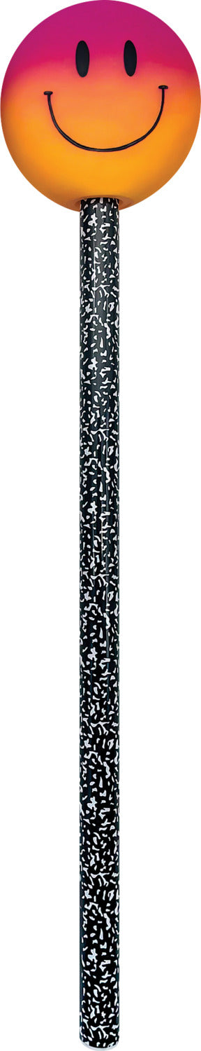 Smiley Face Pointer – Learning Post & Toys