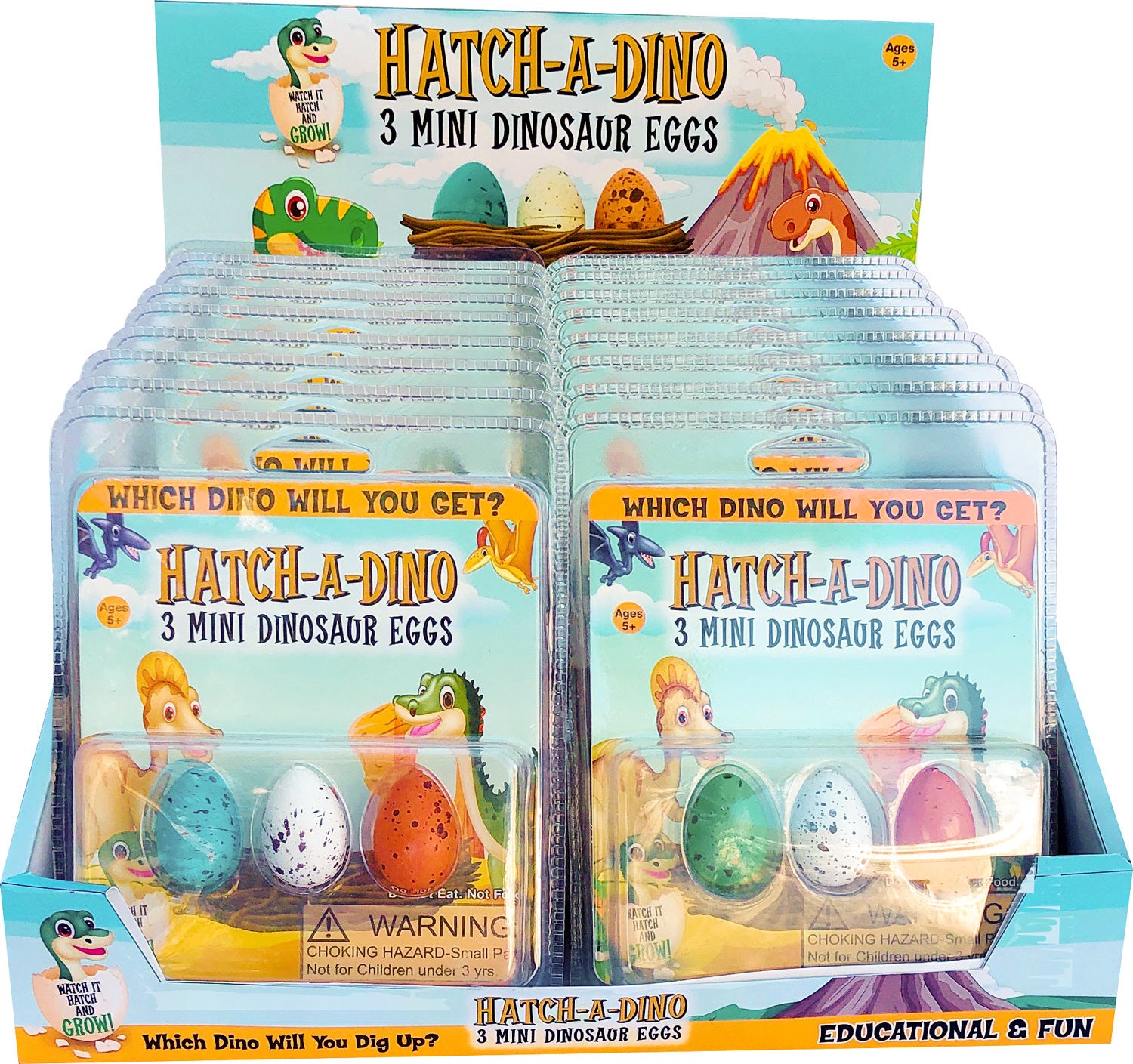 Hatch-A-Dino (assorted) – Learning Post & Toys