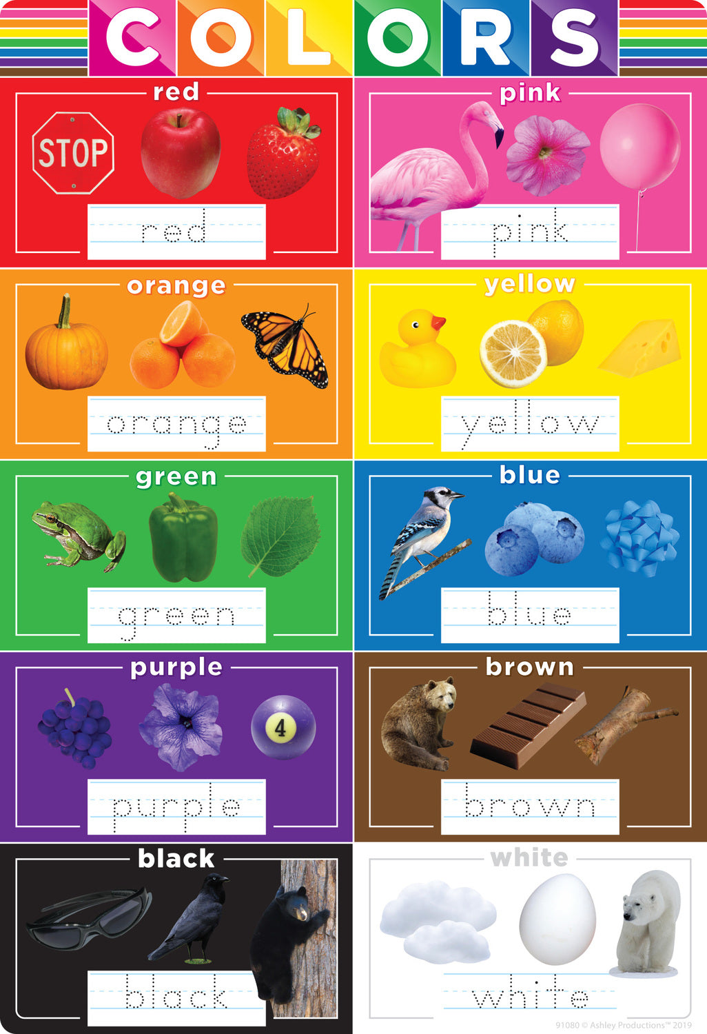 Smart Poly Chart 13"X19", Colors – Learning Post & Toys