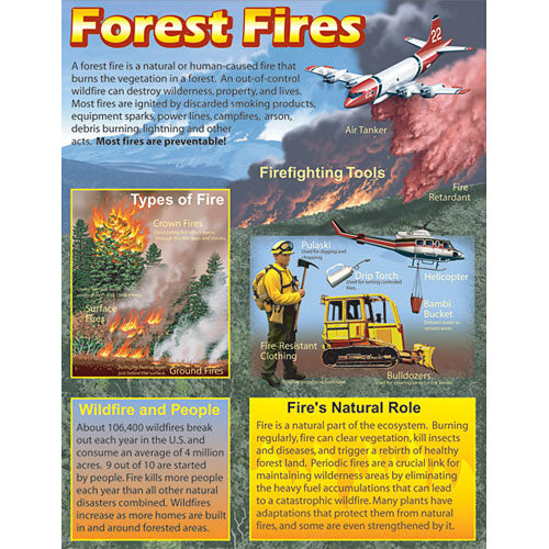 Forest Fires – Learning Post & Toys