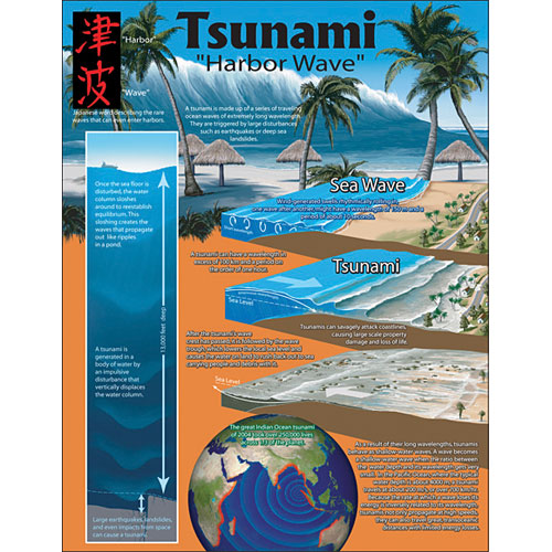 Tsunami – Learning Post & Toys