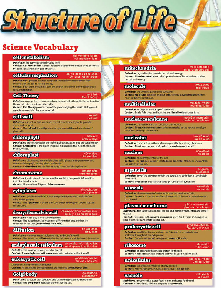 Science Vocabulary: Structure of Life Chart – Learning Post & Toys