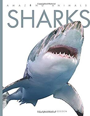 Sharks – Learning Post & Toys