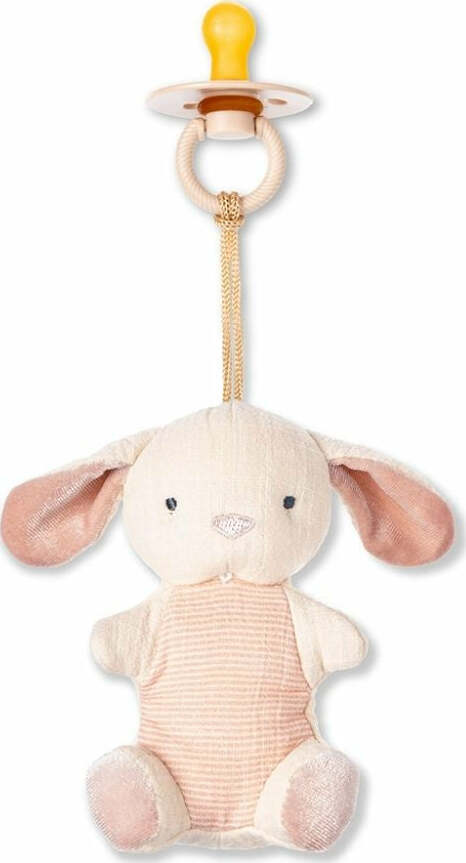 NATURAL PACIFIER/PLUSH BUNNY – Learning Post & Toys