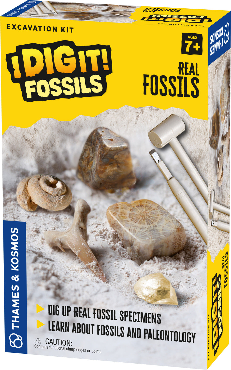 I Dig It! Fossils - Real Fossils Excavation Kit – Learning Post & Toys