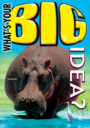 What's Your Big Idea? – Learning Post & Toys