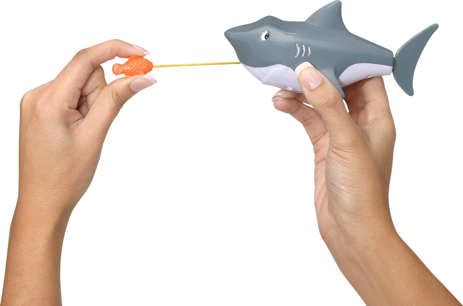 Pull-string Shark – Learning Post & Toys